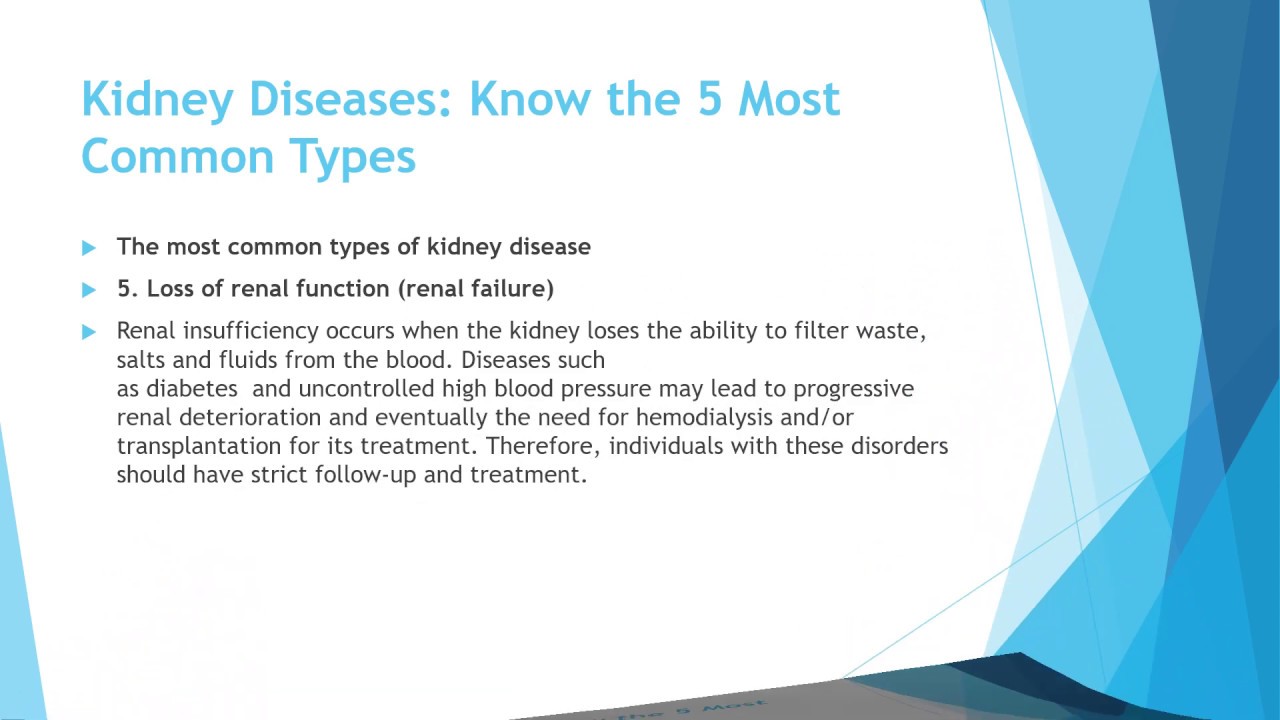 Kidney Diseases Know the 5 Most Common Types - YouTube
