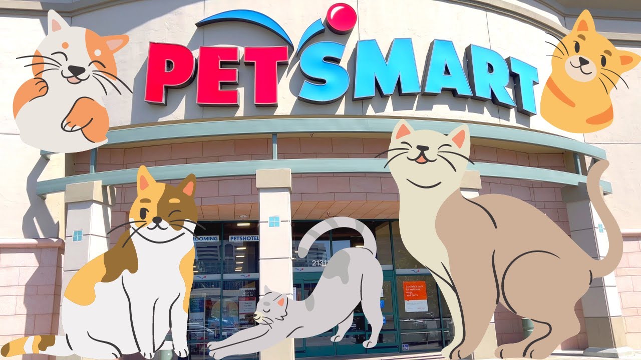 SHOPPING AT PETSMART! ANIMAL FRIENDS EVERYWHERE !! CAT 🐈🐈 - YouTube