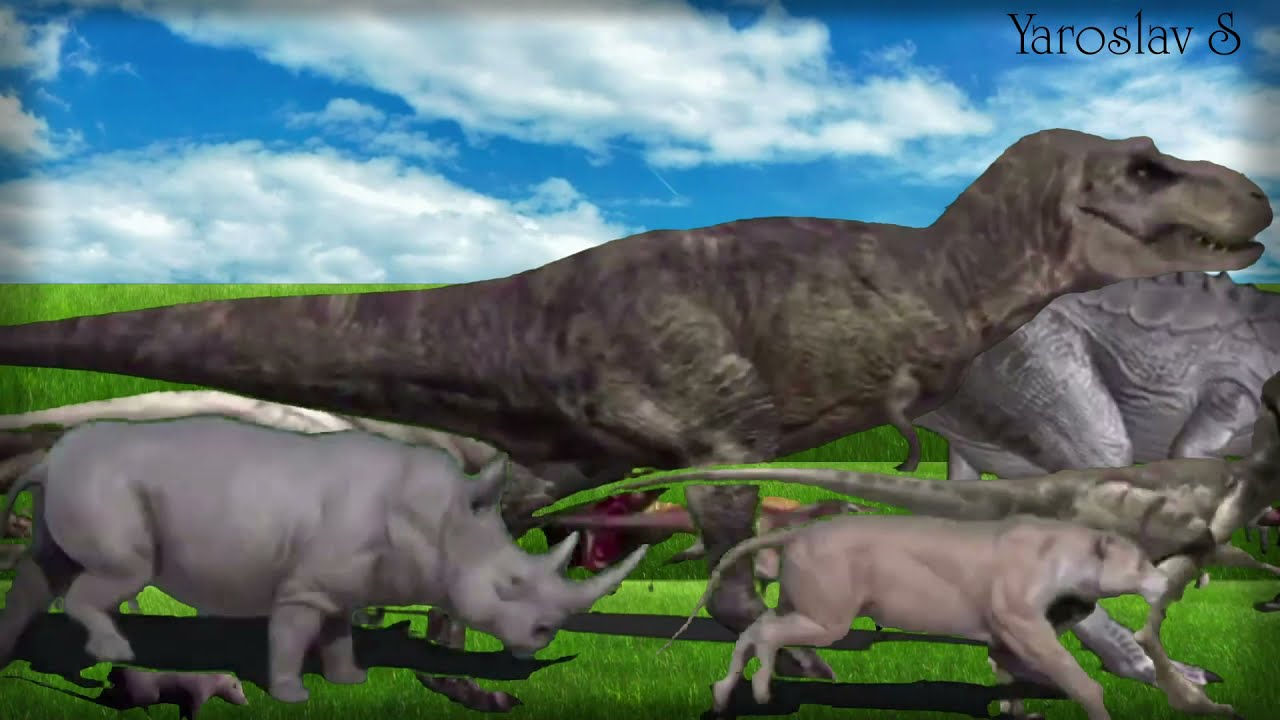 animal stampede 4 - YouTube