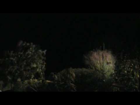 Blustery night - YouTube