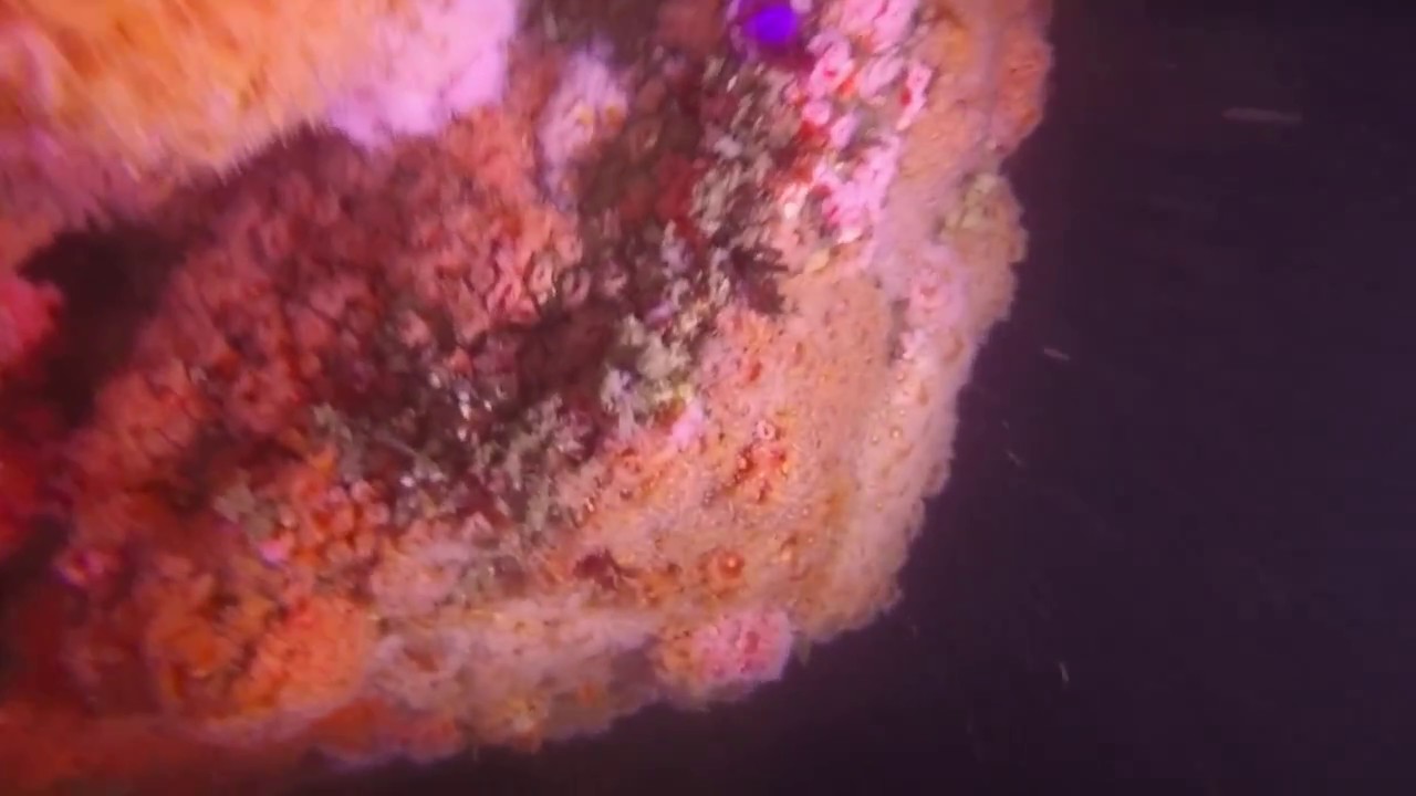 Yukon Wreck Dive San Diego - YouTube