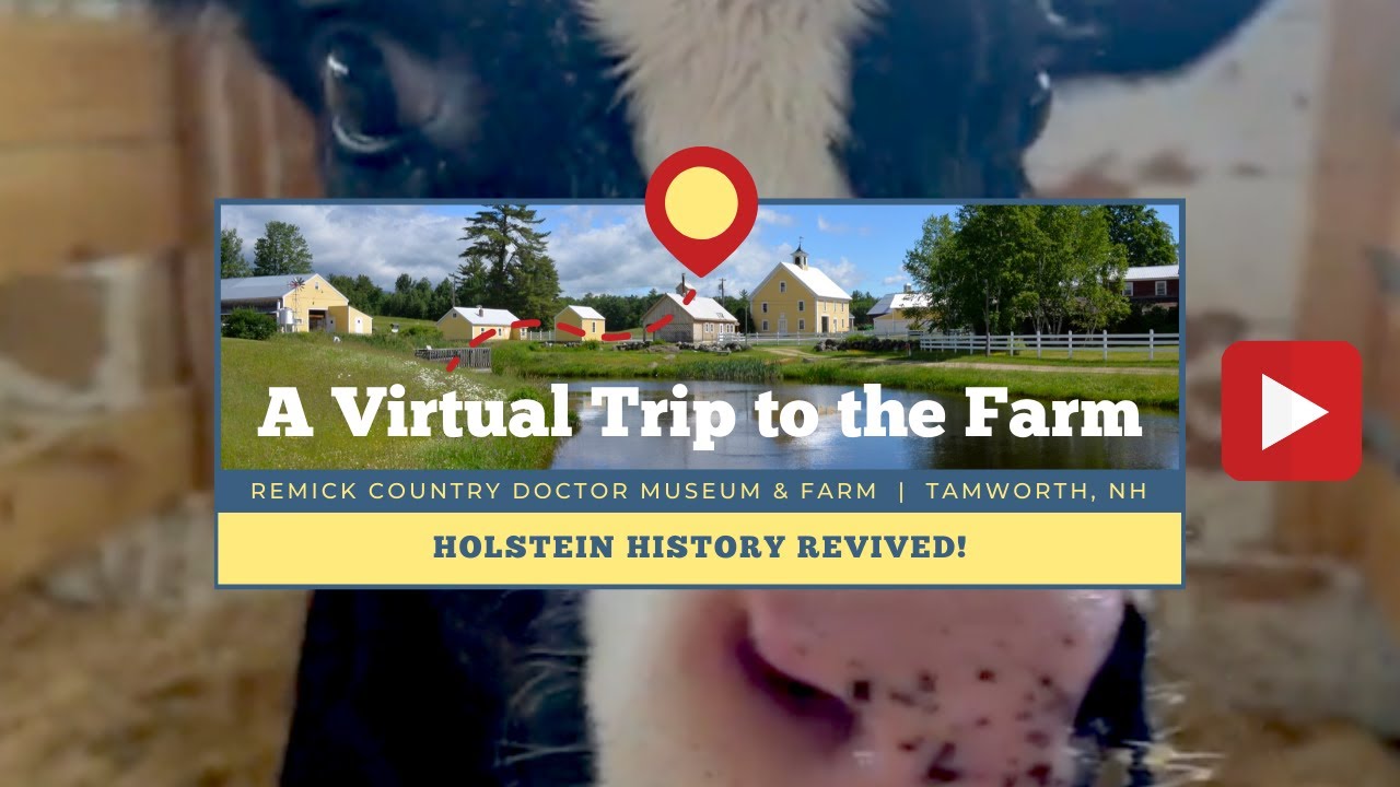 Holstein History Revived - YouTube