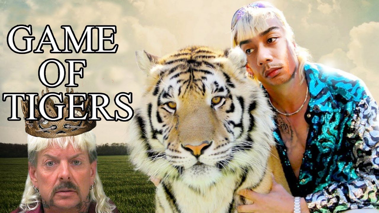 GAME OF TIGERS | THE 3 MAJOR PLAYERS OF TIGER KING AND A BRIEF SUMMARY ...
