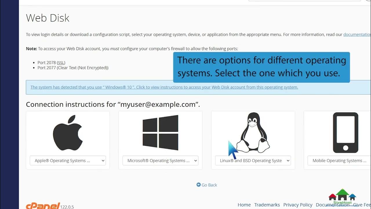 How to Access cPanel Web Disk with SiveHost - YouTube