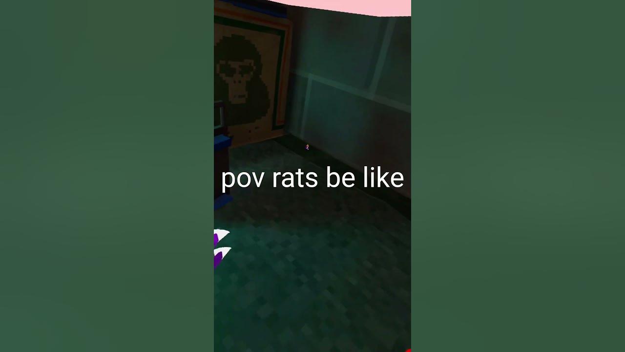 pov rats be like #gtag #gtagameplay #gtagfunny #gtagvr #vr #gtagmaps @Pocomonk@Side-VR - YouTube