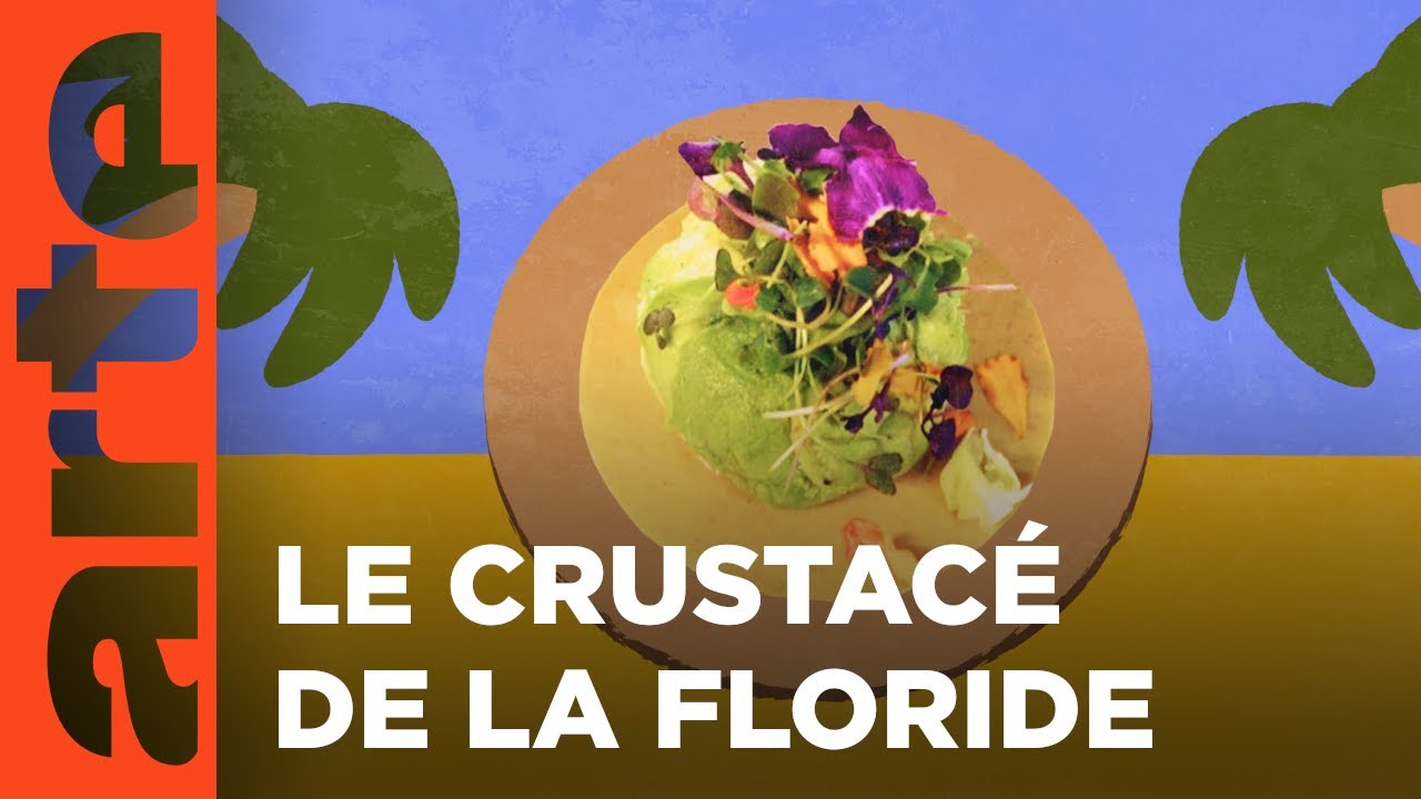 Floride : le stone crab | Voyage en cuisine | ARTE Family - YouTube