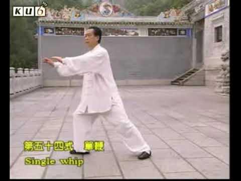 Yang shi tai chi quan 85 forms. Zhao Yubing - YouTube