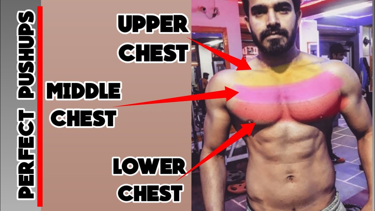 The Perfect pushups workout (3 levels)|chest pushups|pushups|chest ...