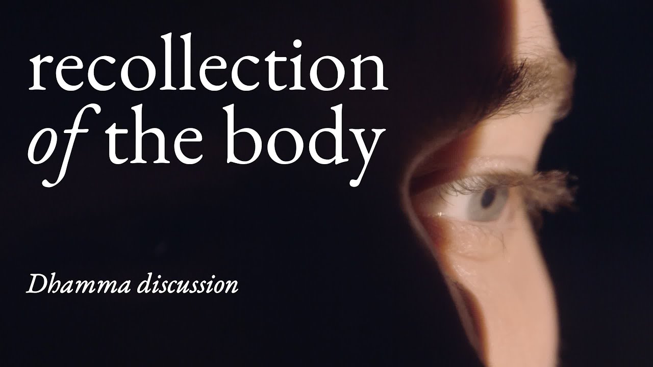 Why Your Body Is Like an 'Empty Village' | Guided Contemplation - YouTube