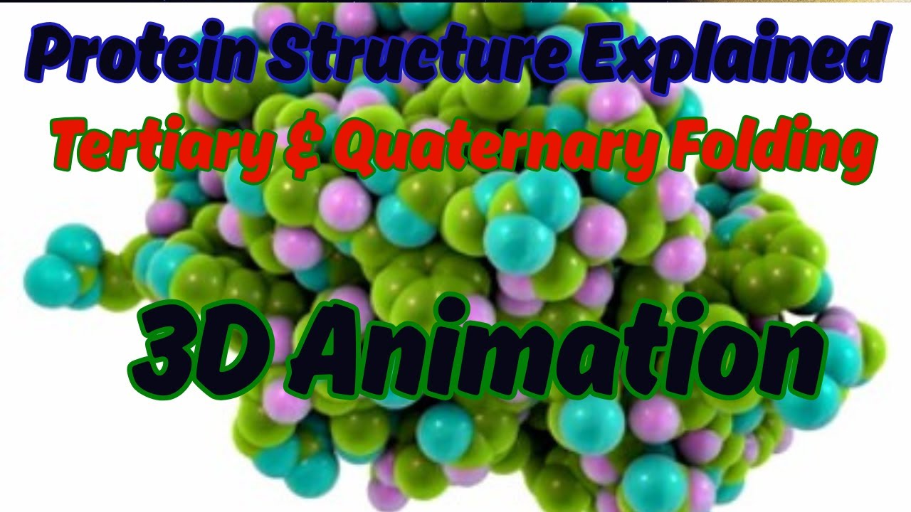 Protein Structure Explained: Tertiary & Quaternary Folding (3D ...
