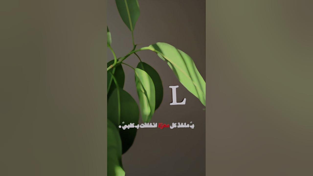 تصميم حرف L العراق انمي بنترست مشاهير رسم أفلام مصر السعودية أيرين ونبيس Youtube