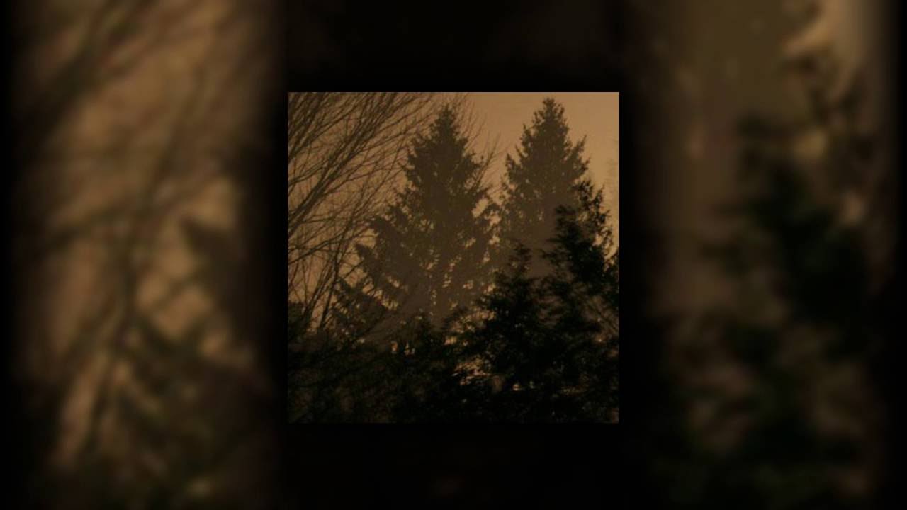 Deus Ex Machina - If These Trees Could Talk - YouTube