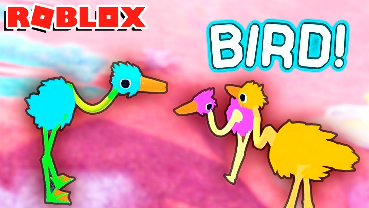 Roblox BIRD Gameplay - YouTube