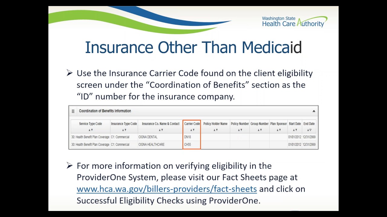 Direct Data Entry (DDE) Professional Claims in ProviderOne - YouTube