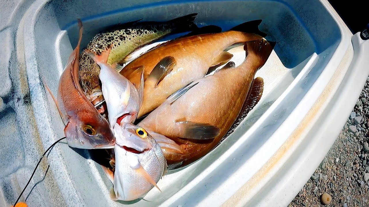 Με κόπο και υπομονή το γεμίσαμε το αμπάρι! #fishing #fishingingreece # ...