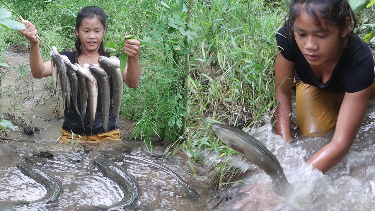 Survival in forest- Found and Catch fish in flood forest- Grilled fish ...