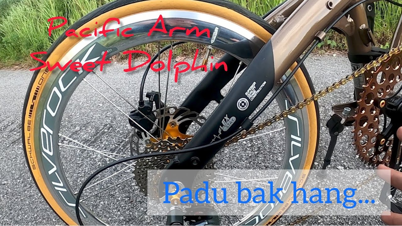 Basikal Folding Bike Custom #3| Noris Pasific Arm Bangsawan Guy's ...