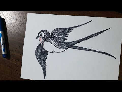 Qaldirg'och rasmini chizish. Qush rasmini chizish. How to draw a swallow. Bird drawing for kids.