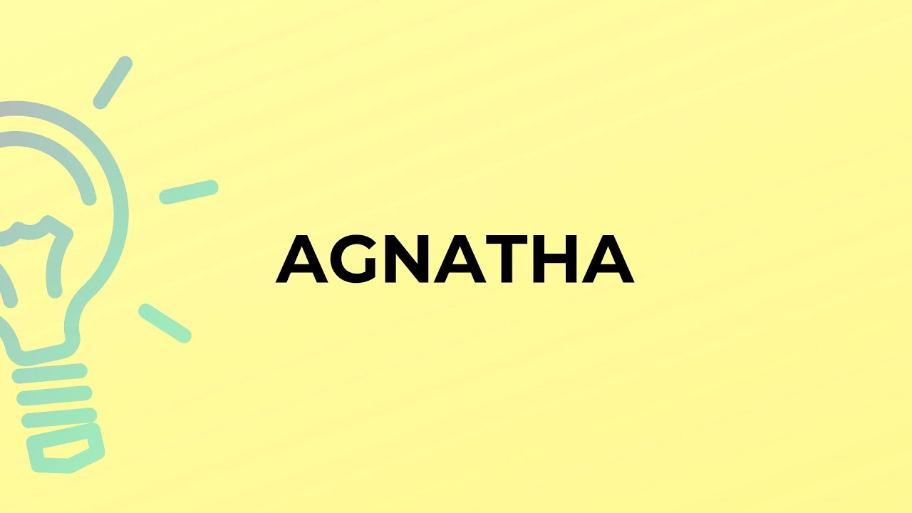 What is the meaning of the word AGNATHA? - YouTube