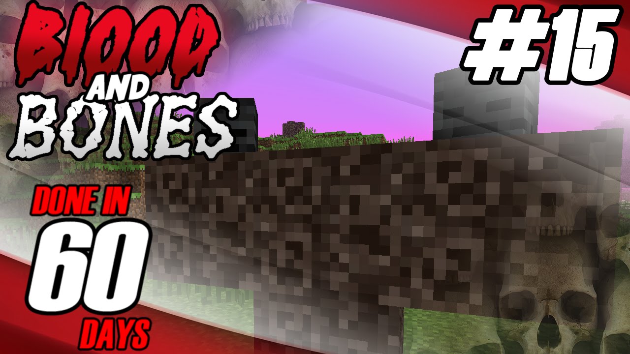 Blood N' Bones - Done in 60 Days: Part 15 Day 29 - The Wither Boss ...
