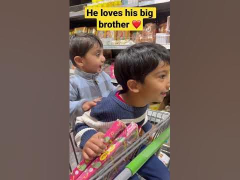 Brothers Status 🥰#shorts #ytshorts #sanu #krishu #krishuskingdom - YouTube