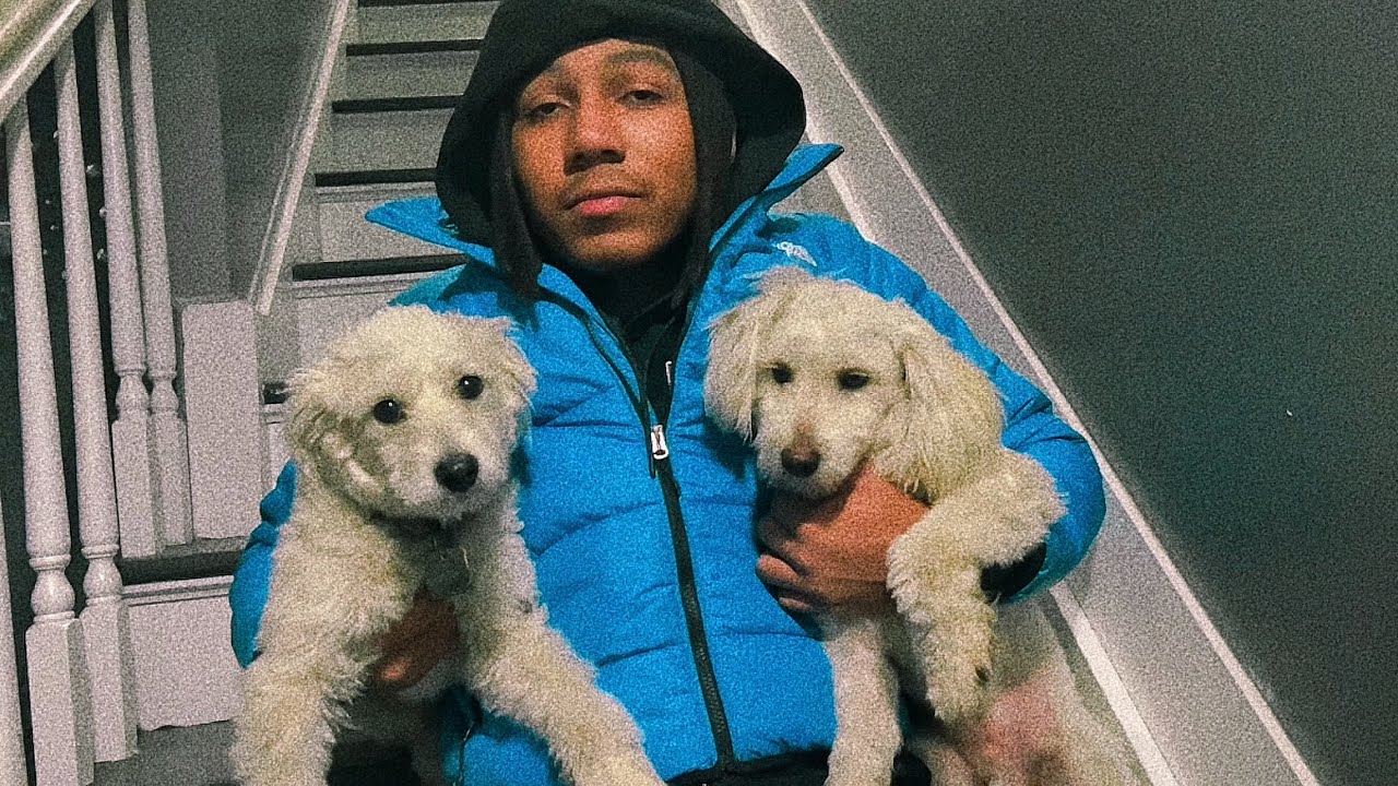 Lil Cal - Dogs (Official Video) - YouTube