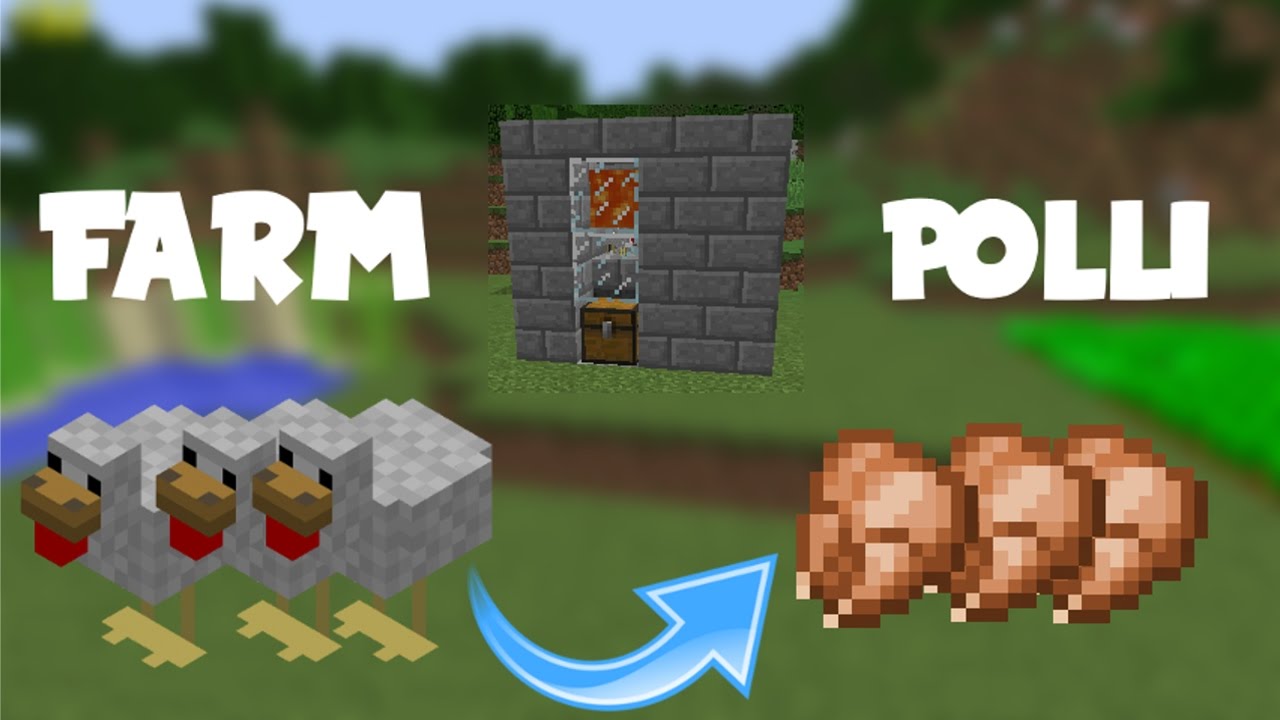 FARM AUTOMATICA DI POLLI - MINECRAFT - YouTube