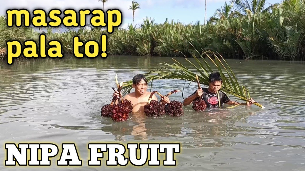 Nipa fruit ,masarap pala to! - YouTube