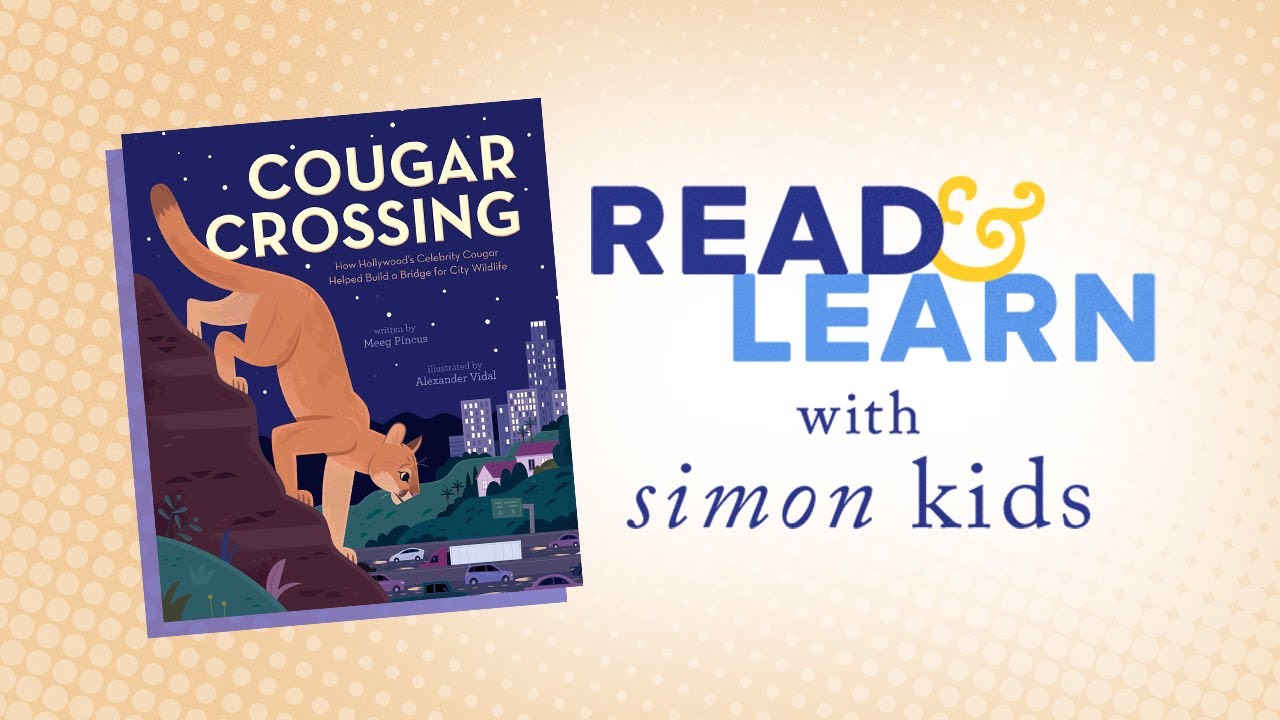 Cougar Crossing Read-Aloud with Author Meeg Pincus | Read & Learn with ...