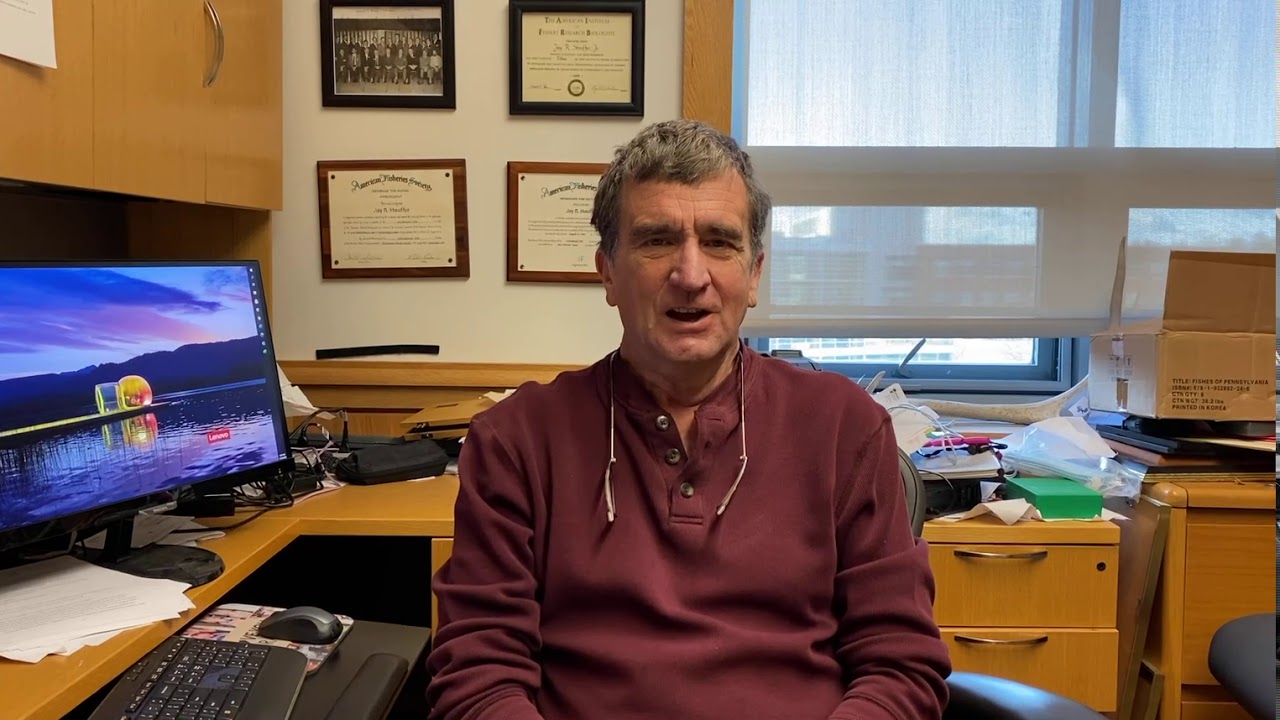 Jay Stauffer Video - YouTube