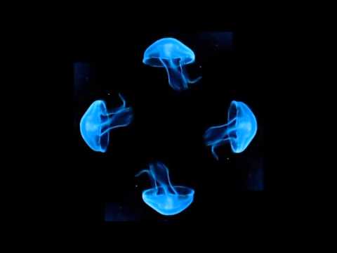 Blue Jellyfish, HoloQuad 3D Holographic Mobile Cell Phone Hologram Videos MMD