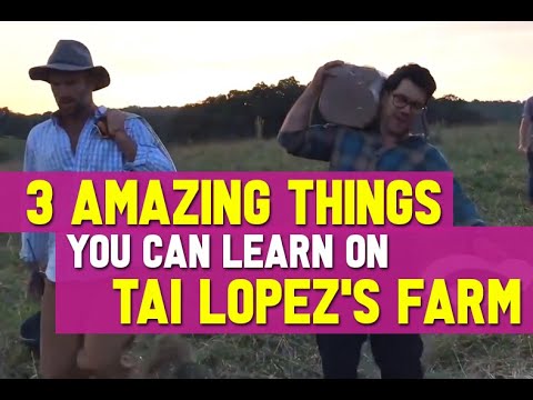3 Things You Can Learn From Tai Lopez's Farm (Virginian Farm) | James ...