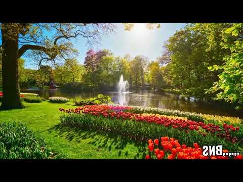 BELALIM - FON MÜZİĞİ