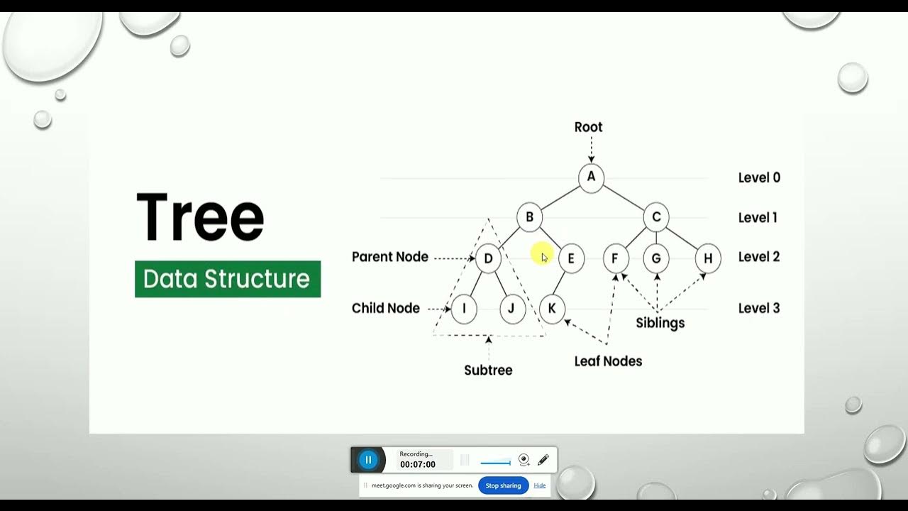 DSA - Tree Basic and Terminologies - YouTube