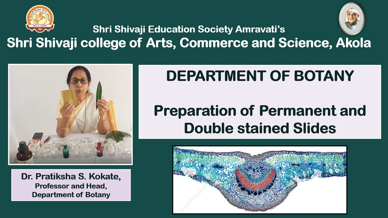 Preparation of Permanent and Double stained slide of Nerium leaf ...