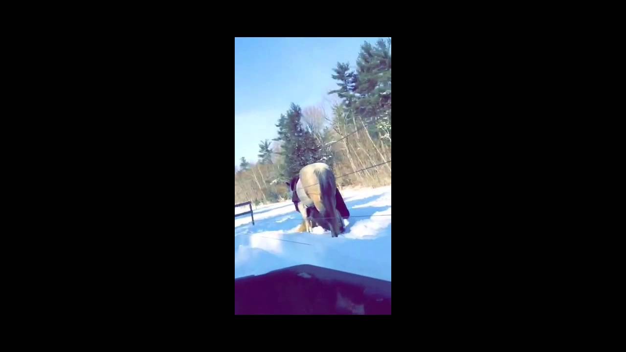 Farm Girls Youtube