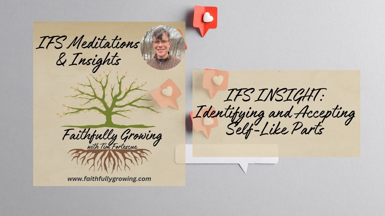 IFS INSIGHT: Identifying and Accepting Self Like Parts - YouTube