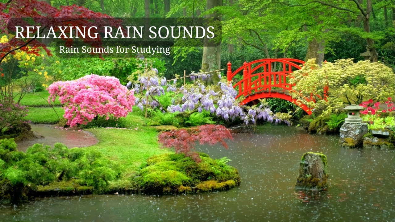 Rain Sounds for Reading || Relaxing Rain Sounds for Studying - YouTube