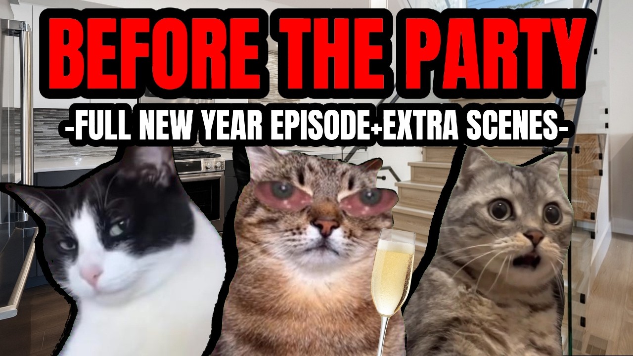 CAT MEMES: BEFORE THE PARTY | NEW YEAR ROADTRIP SPECIALS - YouTube