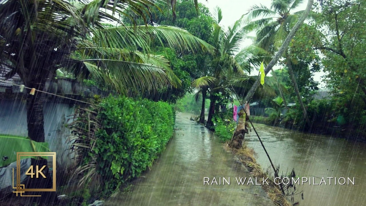 Relaxing Walk in Rain | ASMR Rain Sound for Focus or Deep Sleep | 3 ...