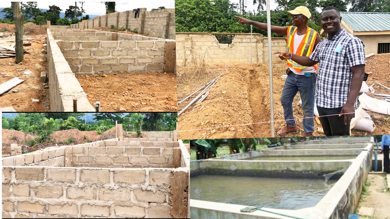 Catfish Concrete pond construction| 1000 capacity catfish pond ...