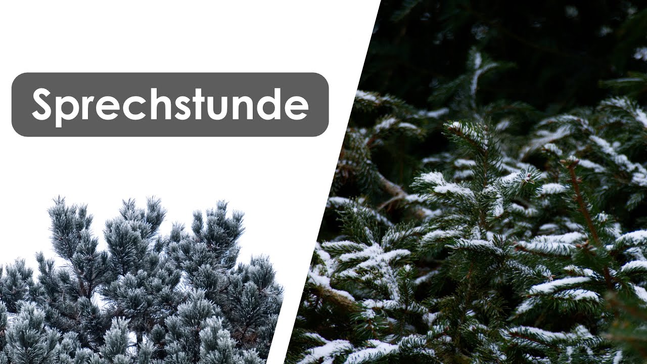 Sprechstunde zum Jahreswechsel | Sprechstunde #1 - YouTube