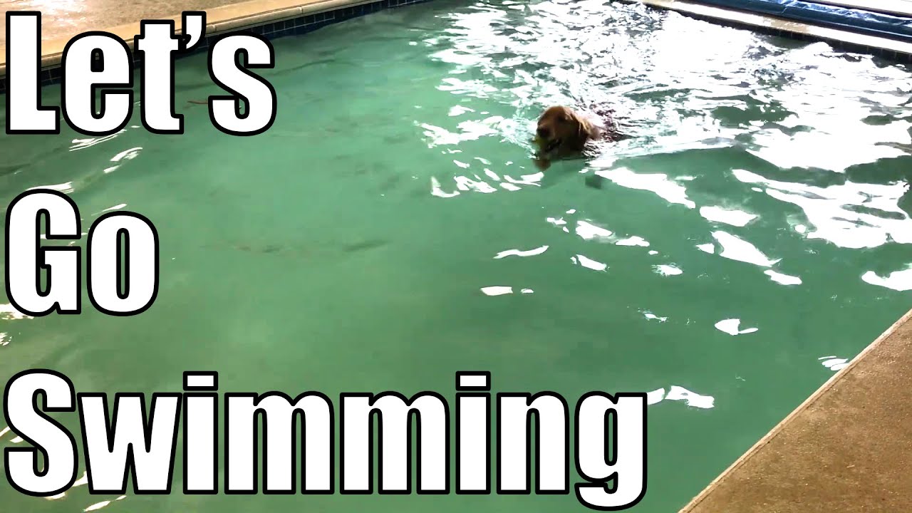 April Fools Day Swim | 01Apr2019 - YouTube
