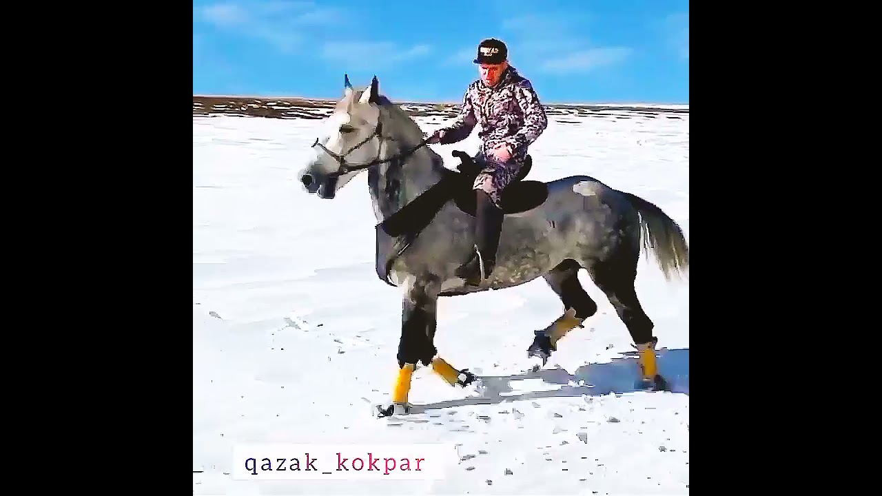 kopkari otlar😃😃😍😍😍😰😰😰 - YouTube