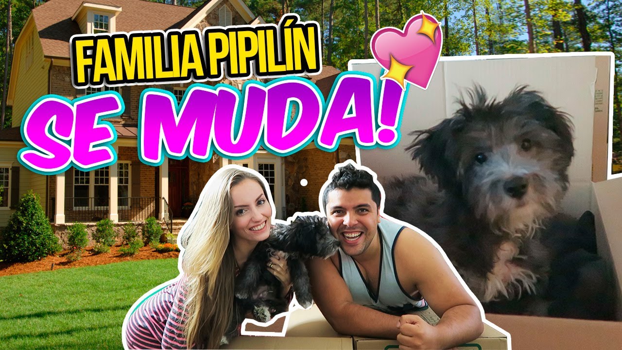 ¡FAMILIA PIPILÍN SE MUDA! ÚLTIMO DÍA EN LA VIEJA CASITA! CAJAS Y MÁS ...
