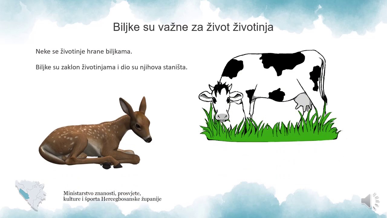 Biologija, V. razred - Povezanost biljaka i životinja - YouTube