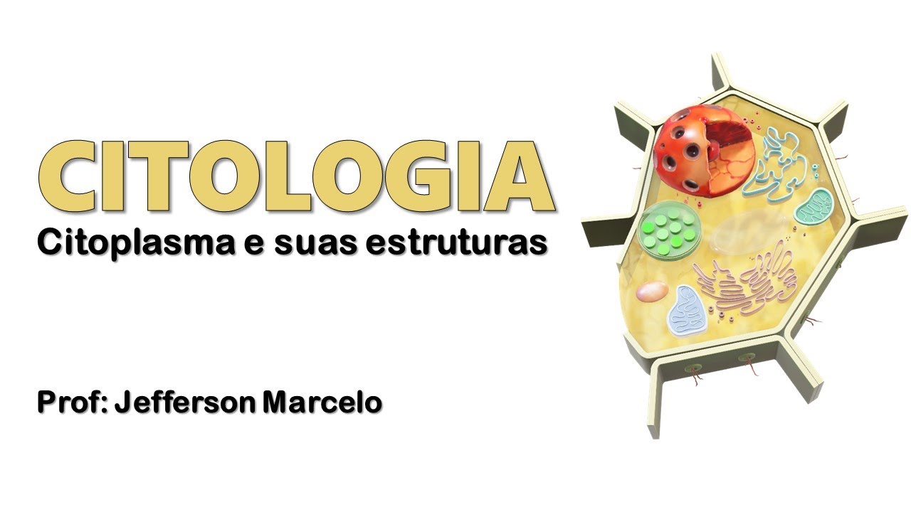 Citologia: citoplasma e suas estruturas. - YouTube