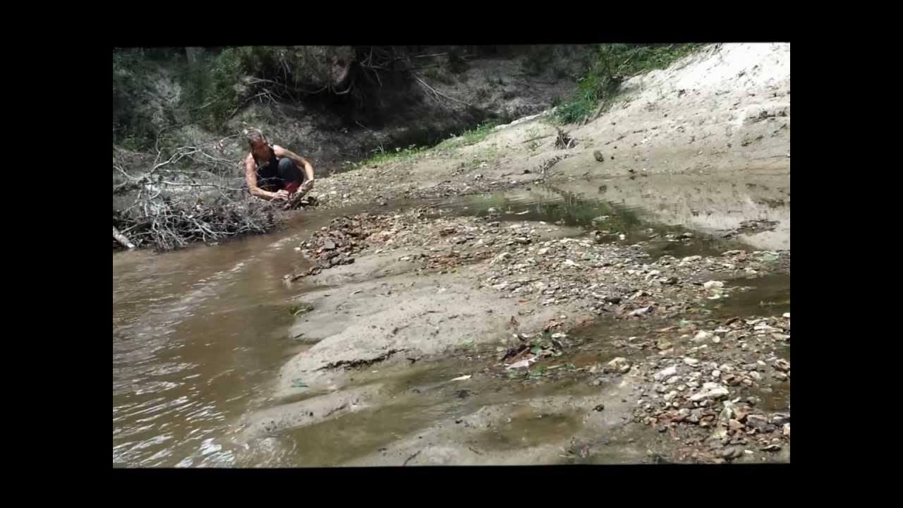 Two snakes one arrowhead in east Texas. - YouTube