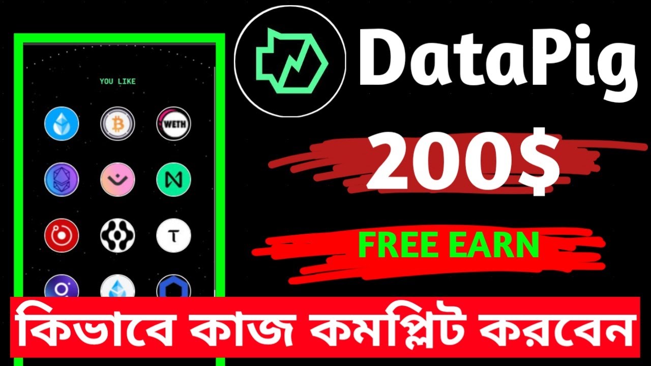 datapig airdrop !! datapig Airdrop Full Guide Bangla #datapig - YouTube