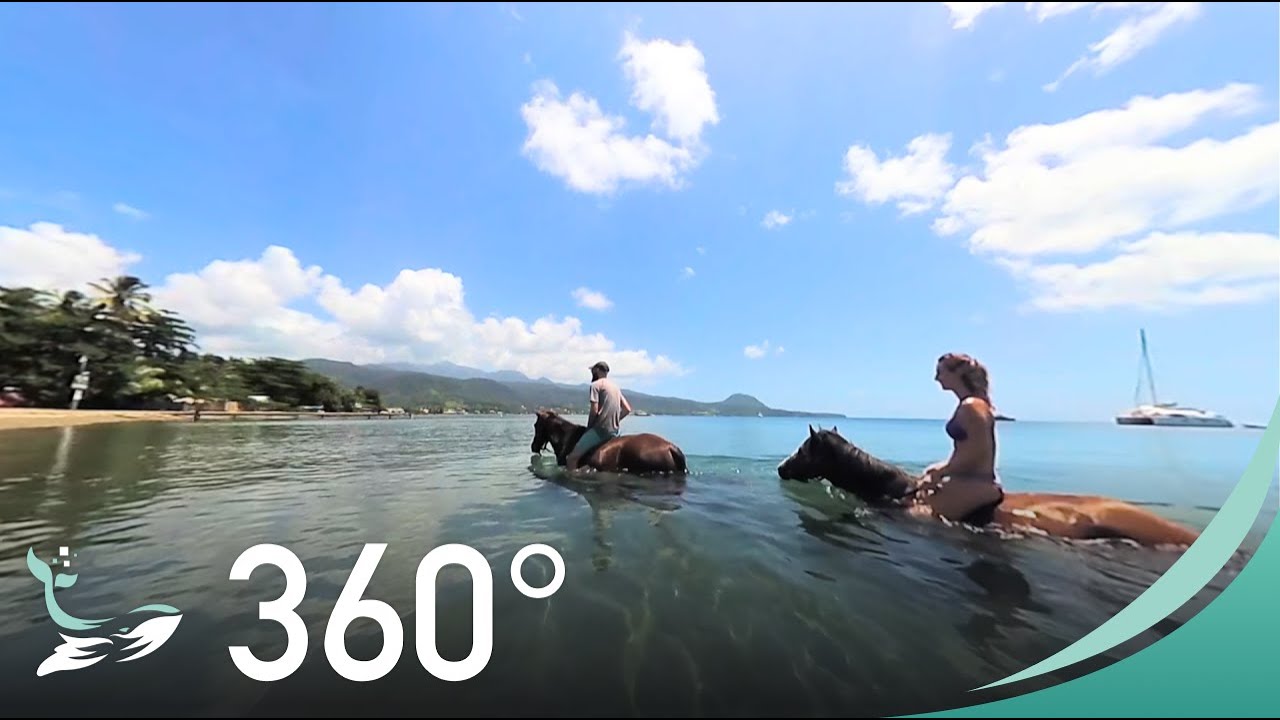 Horse Back Riding on the Beach | VR/360° Experience - YouTube